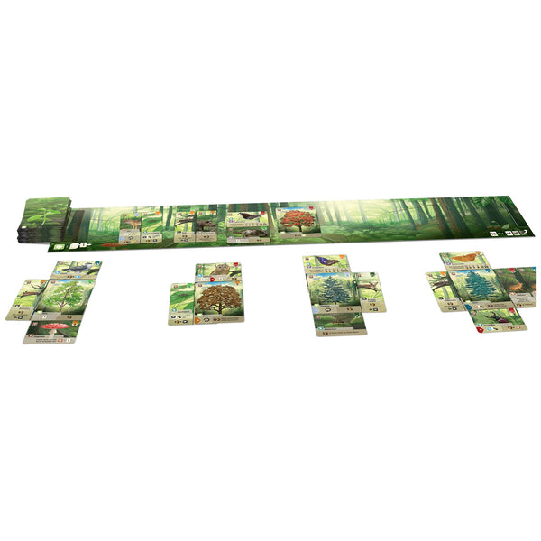 Lookout Games Forest Shuffle Card Game| Radar Toys