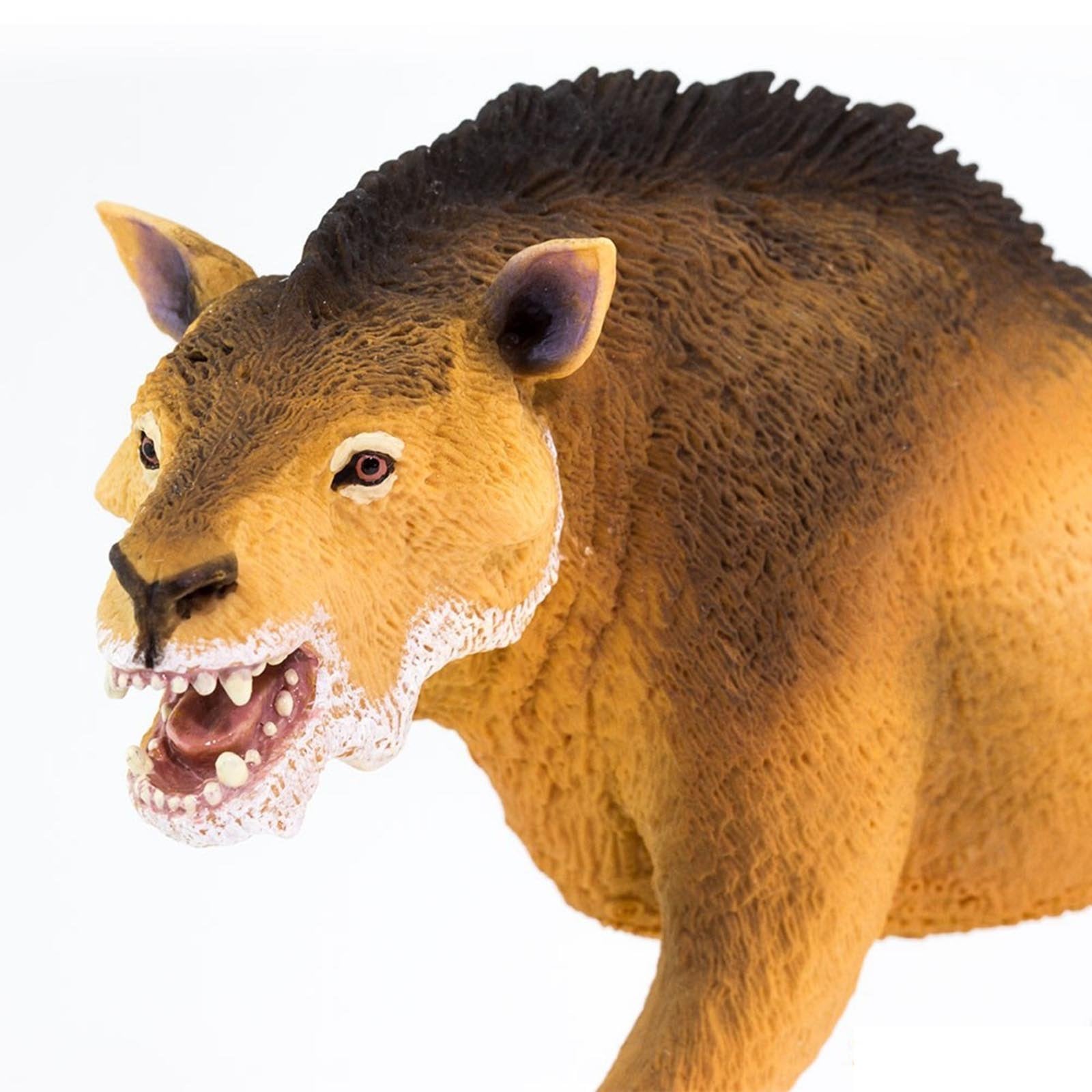 Daeodon Dinosaur Figure Safari Ltd | Radar Toys