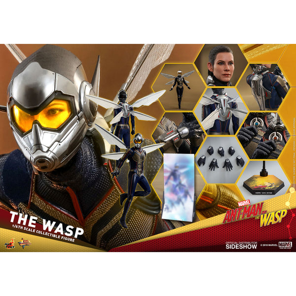 Hot Toys Ant-Man And The Wasp Movie Masterpiece Wasp Figure|Radar Toys
