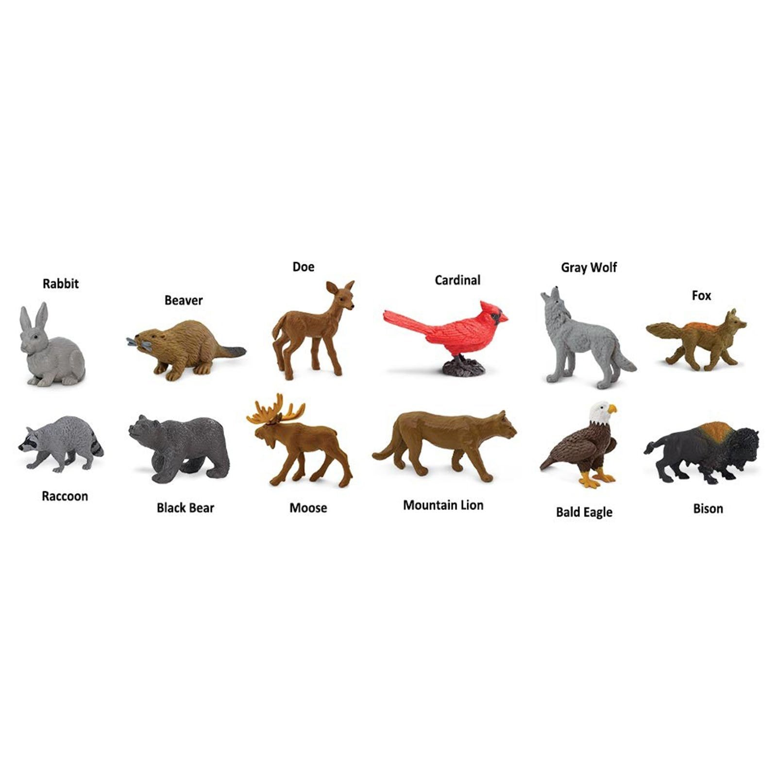 Nature Animal Figures Set Safari Ltd Toob | Radar Toys