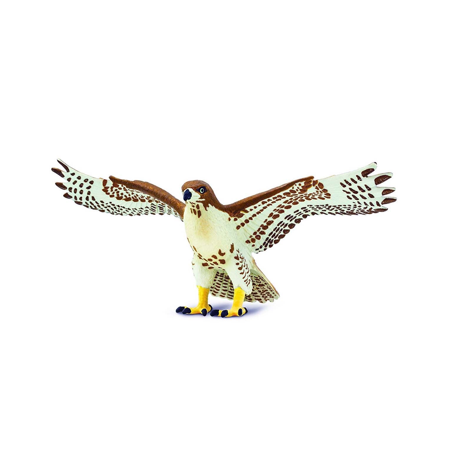 Red Tail Hawk Animal Figure Safari Ltd | Radar Toys