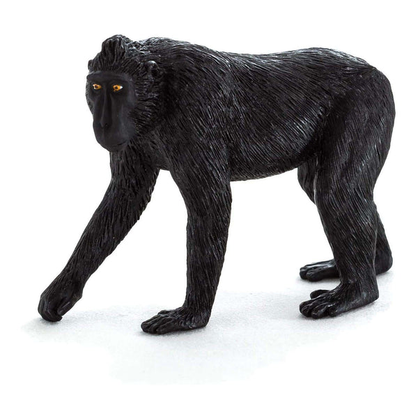 MOJO Black Crested Macaque Animal Figure 387182 | Radar Toys
