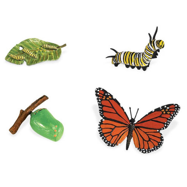 Life Cycle Of A Monarch Butterfly Safari Ltd – Radar Toys