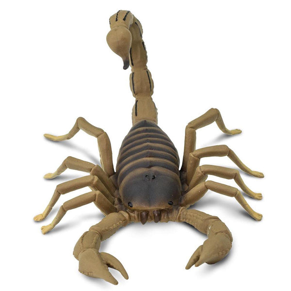 Scorpion Animal Figure Safari Ltd 100260 | Radar Toys