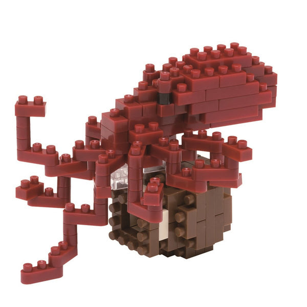 Nanoblock Common Octopus Building Set | Radar Toys