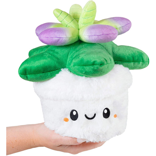 Squishable Succulent 7 Inch Plush Figure | Radar Toys