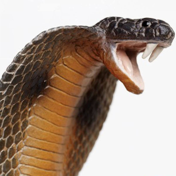 Cobra Incredible Creatures Figure Safari Ltd – Radar Toys