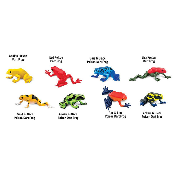 Poison Dart Frog Figures Animal Toys Reptiles Safari Ltd | Radar Toys