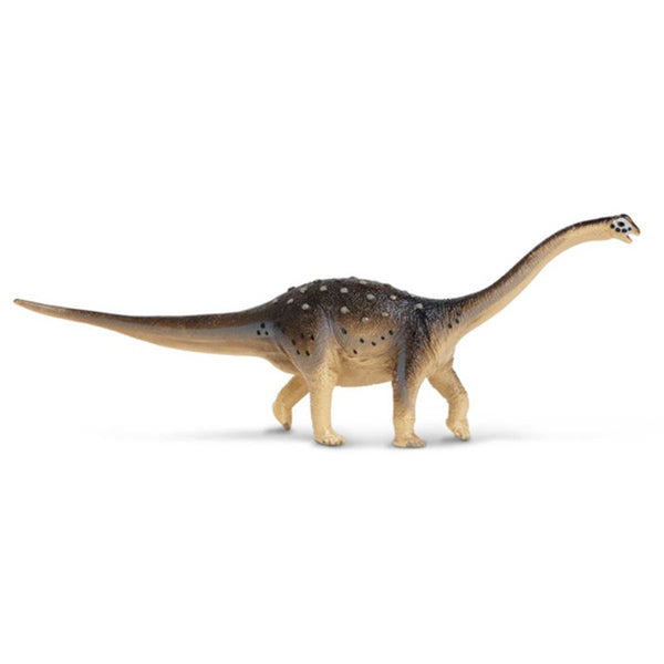 Saltasaurus Carnegie Dinosaur Collectibles Safari Ltd – Radar Toys